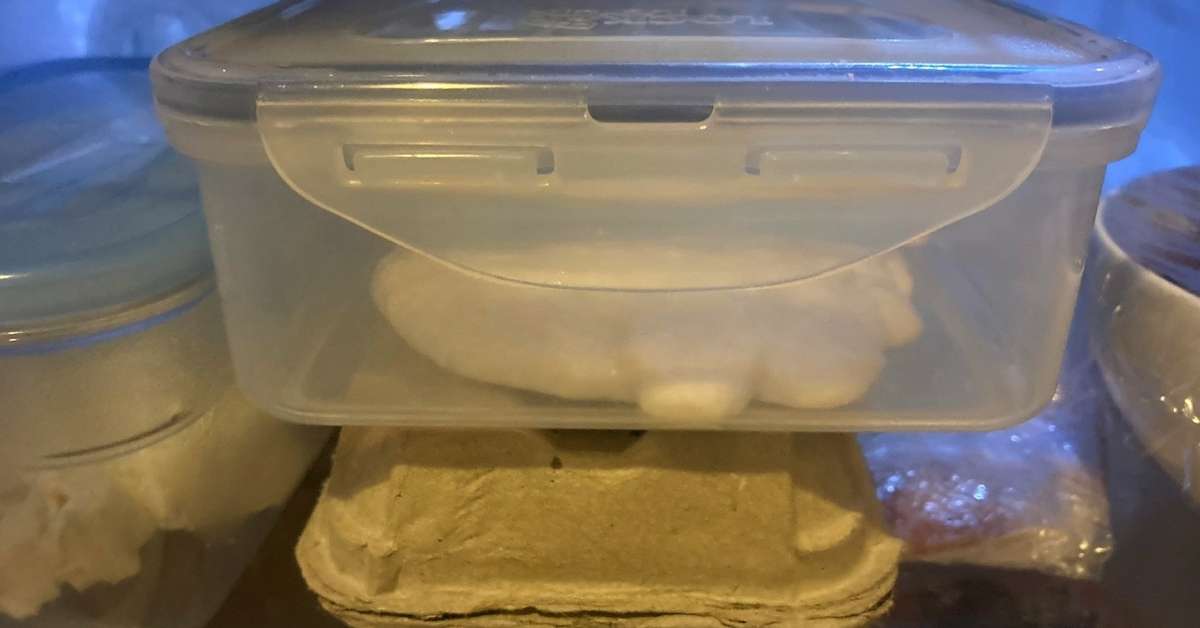 Poolish Pizza Dough Recipe (Perfect Crust Super Easy) - My House Of Pizza