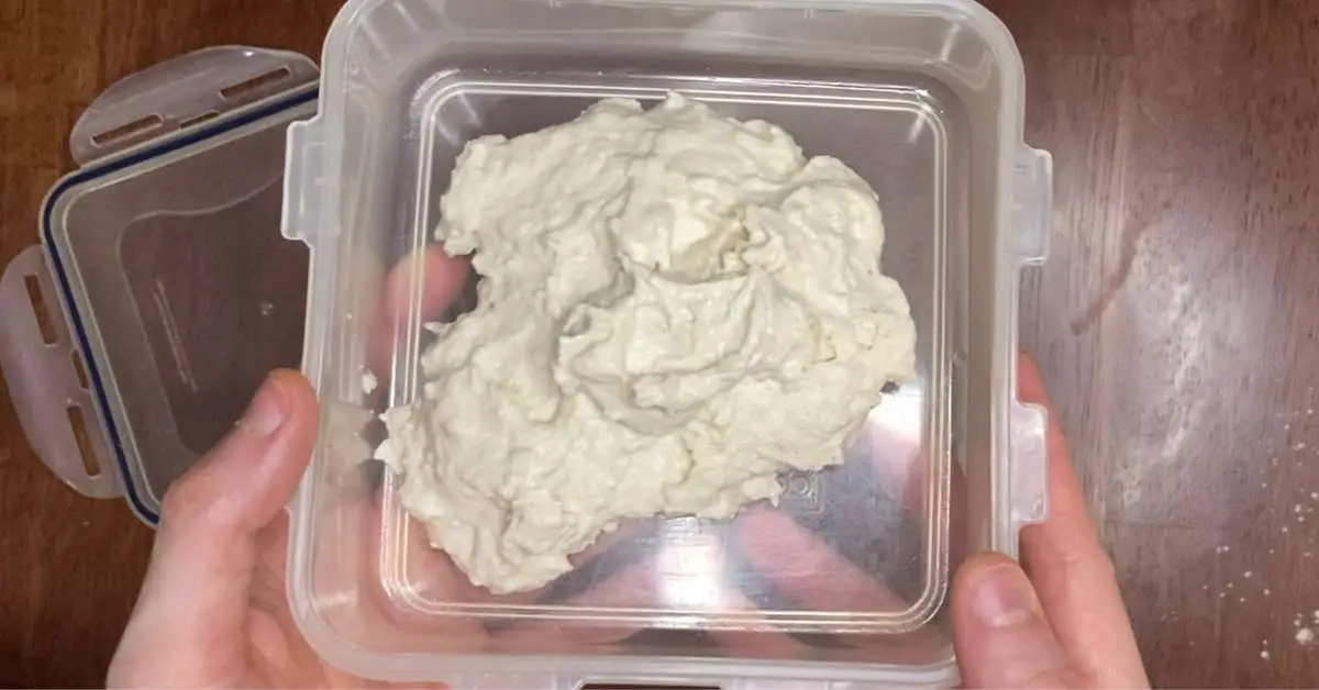 Poolish Pizza Dough Recipe (Perfect Crust Super Easy) - My House Of Pizza