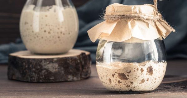 Poolish Pizza Dough Recipe (Perfect Crust Super Easy) - My House Of Pizza