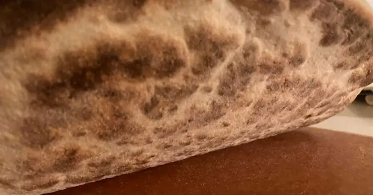 How To Fix Soggy Pizza Crust: Why Your Pizza is Soggy In The Middle ...
