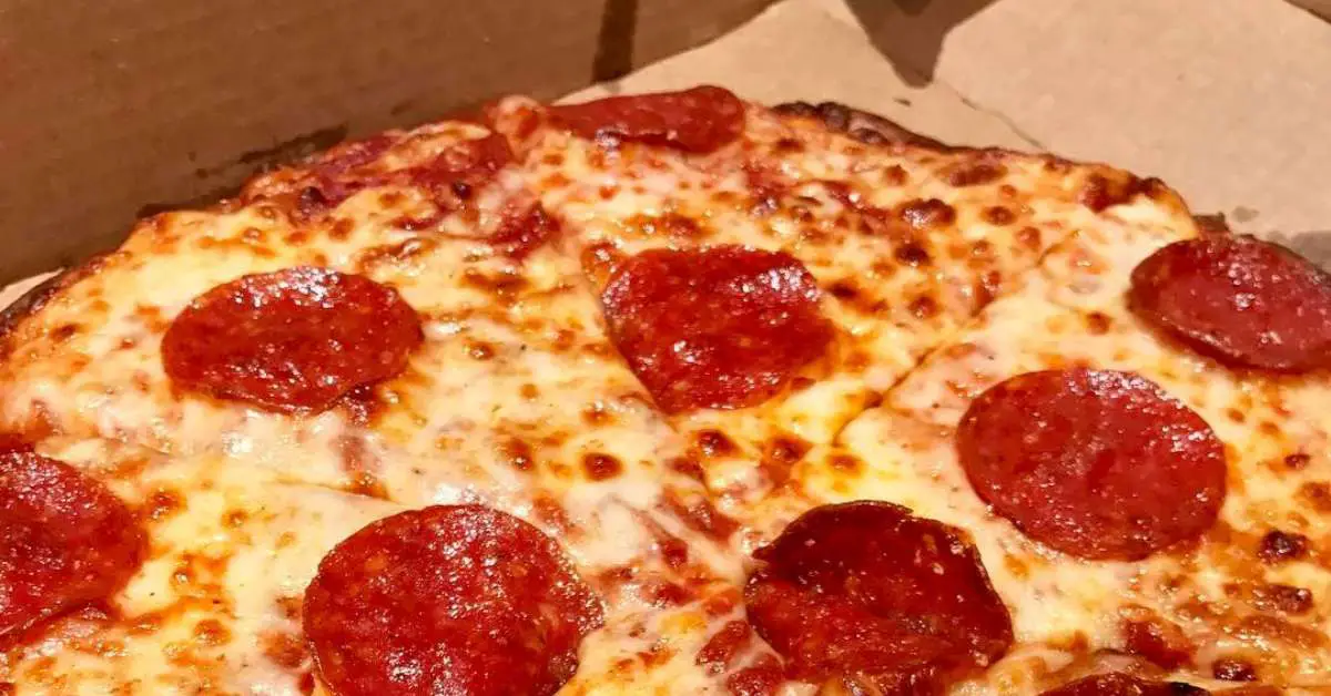 Domino’s Handmade Pan vs Hand Tossed Crust Pizza - Which One Is Best ...