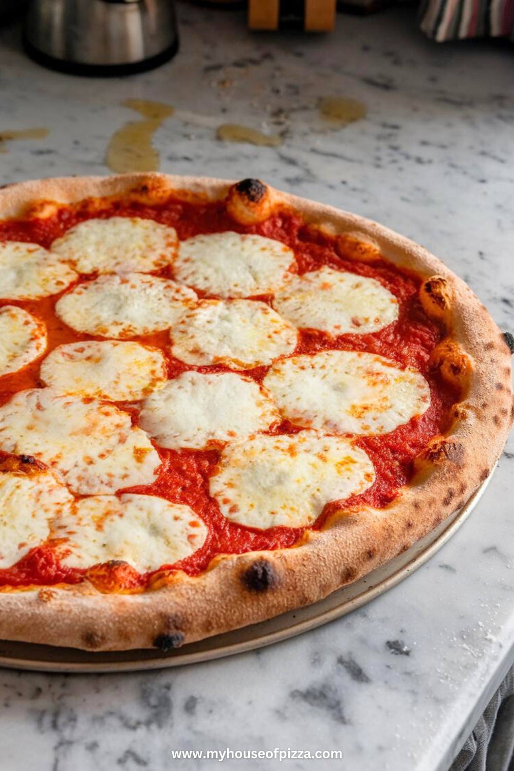 Domenic's Roman Style Pizza Al Taglio Recipe - The Perfect Home Oven ...